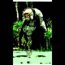 Top 7 songs in this week's N1M jam chart by Myakka Skunk Apes - N1M