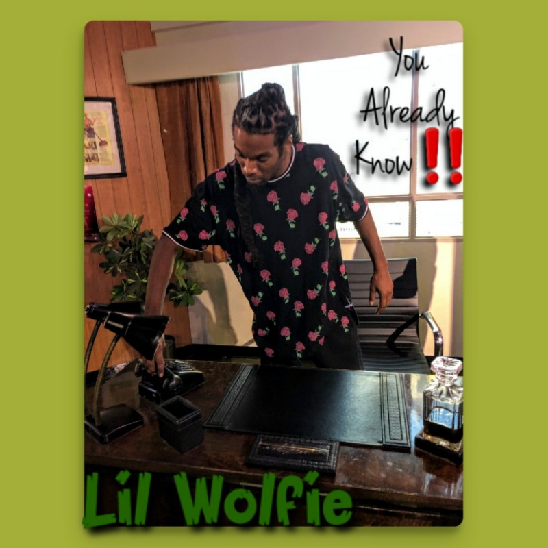 Lil Wolfie - N1M